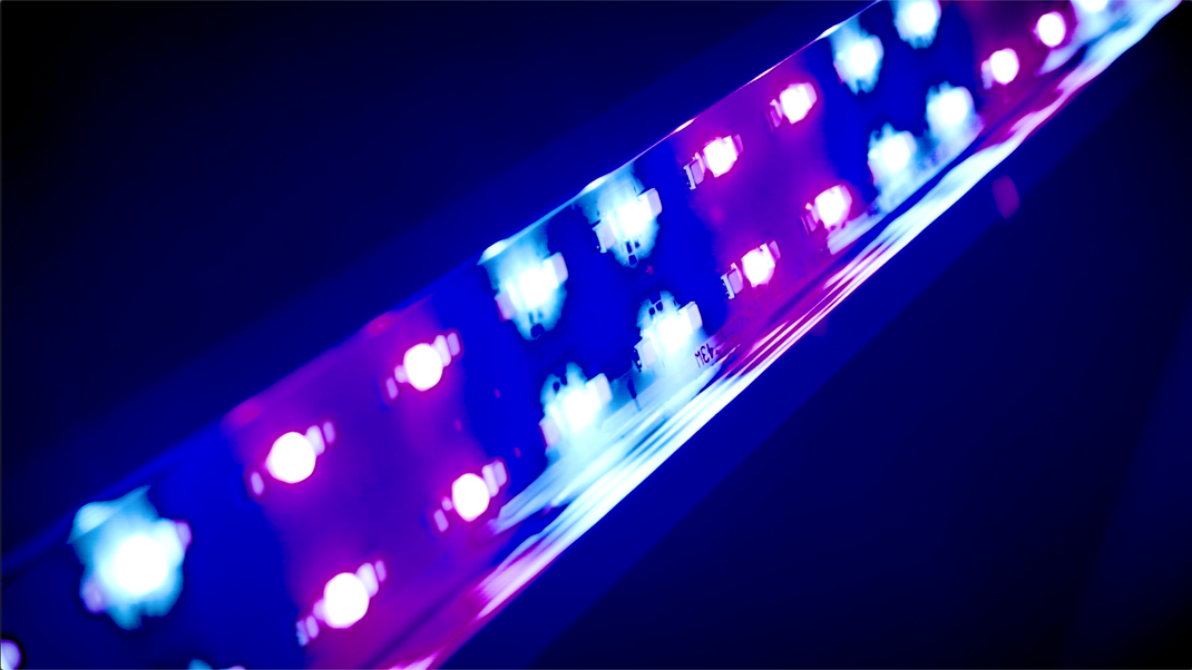 Automatic Ambulance Disinfection Systems – Spectral Blue by LED Tailor